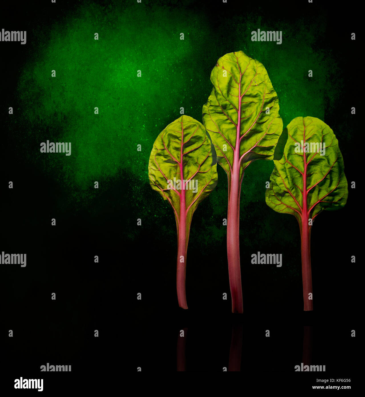 Ruby Chard High Resolution Stock Photography and Images - Alamy