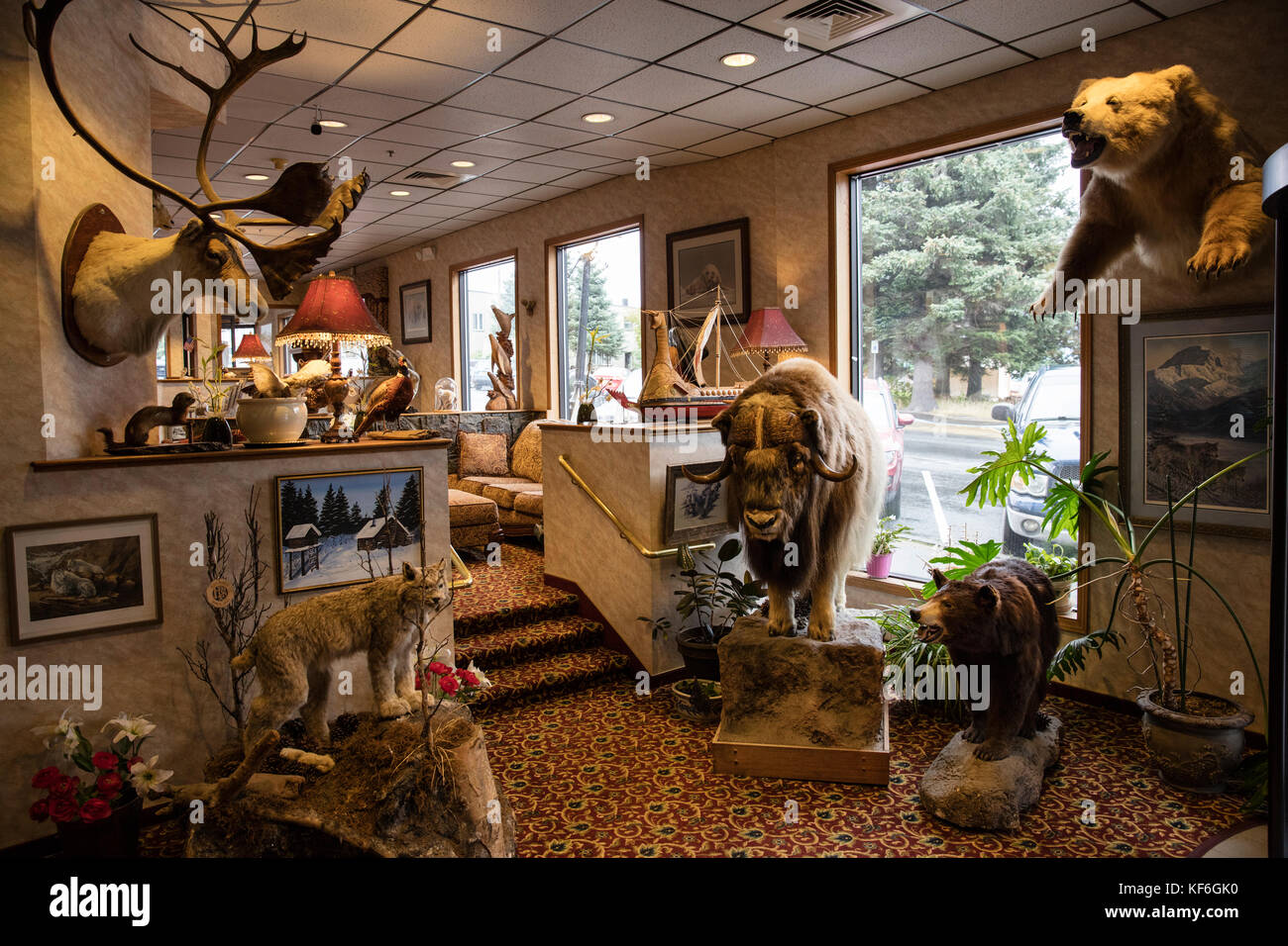 Wild brown bear hotel hi-res stock photography and images - Alamy