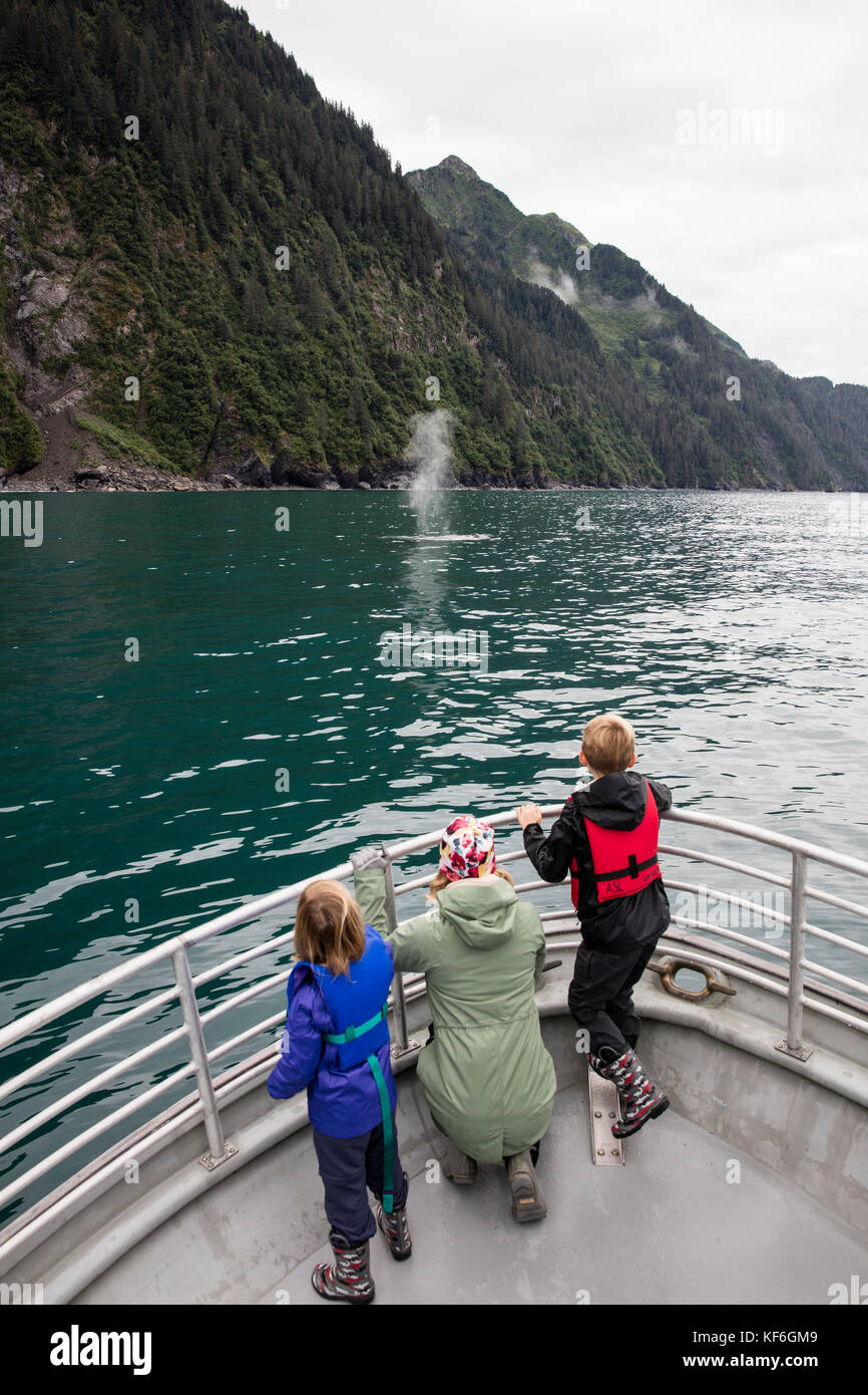 Family whale watching alaska hi-res stock photography and images - Alamy