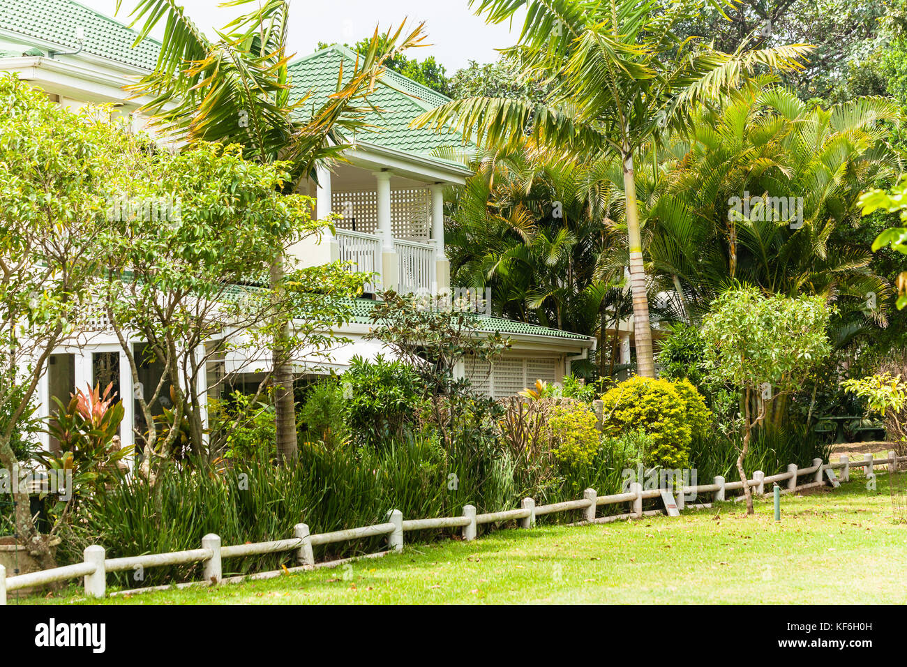 Houses homes surrounded green tropical landscaping trees vegetation on ...