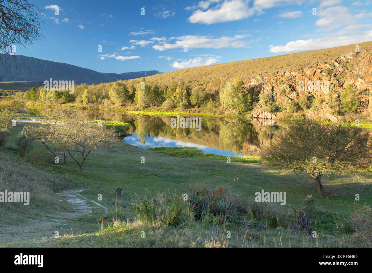 Bontebok National Park, Western Cape, South Africa Stock Photo - Alamy