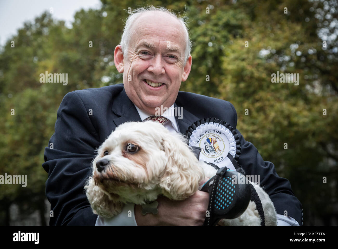 Wayne david labour mp hi-res stock photography and images - Alamy