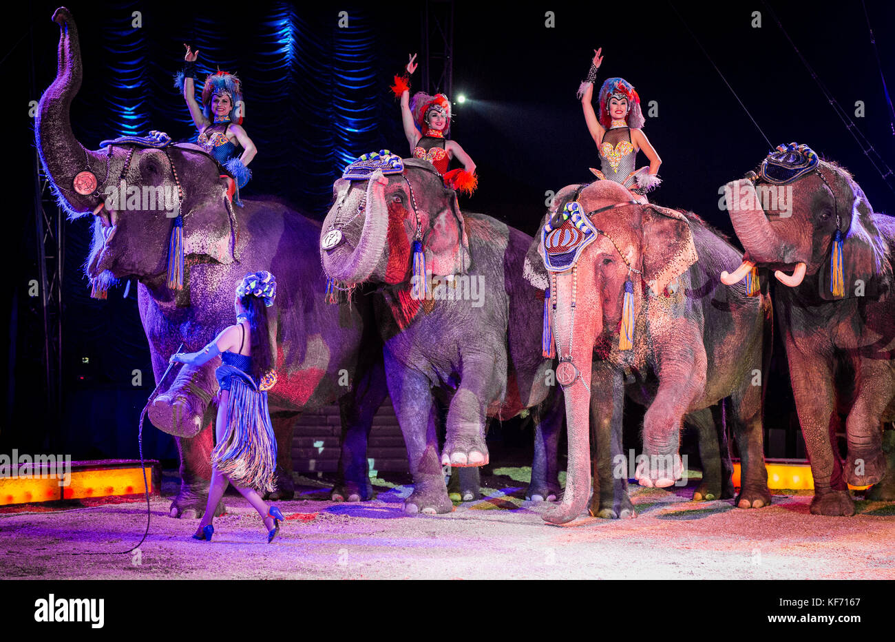 Stuttgart, Germany. 26th Oct, 2017. Elephants being presented to the ...