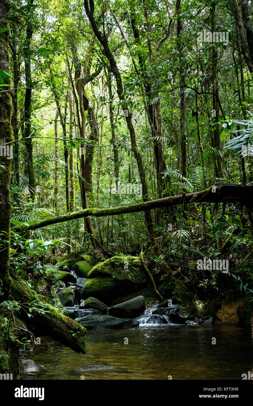 Pristine ecosystem hi-res stock photography and images - Alamy