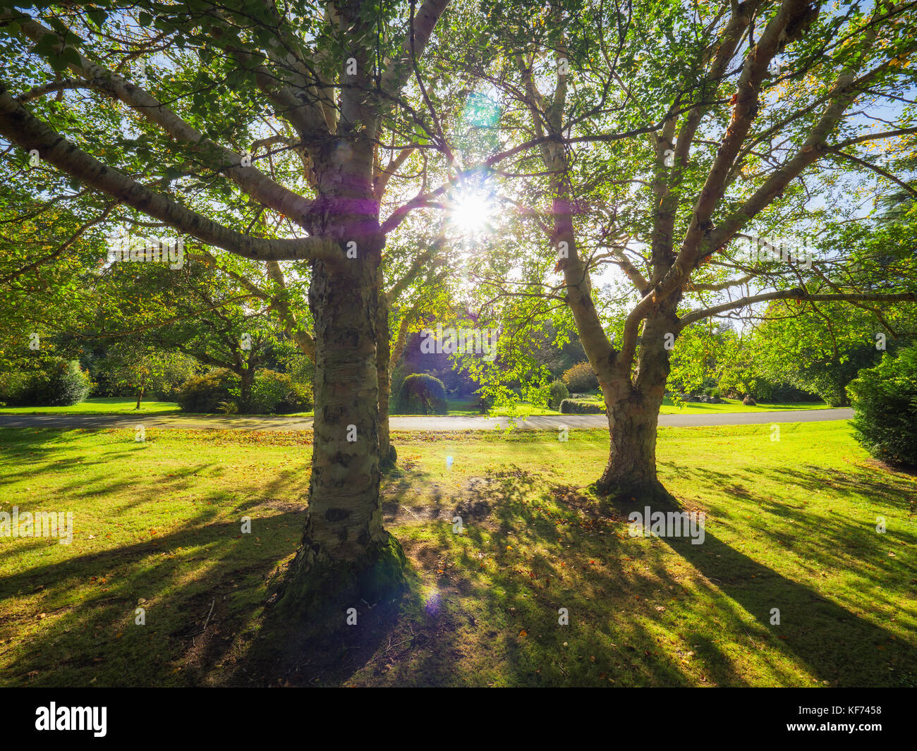 Early Autumn countryside morning,Northern Ireland Stock Photo - Alamy