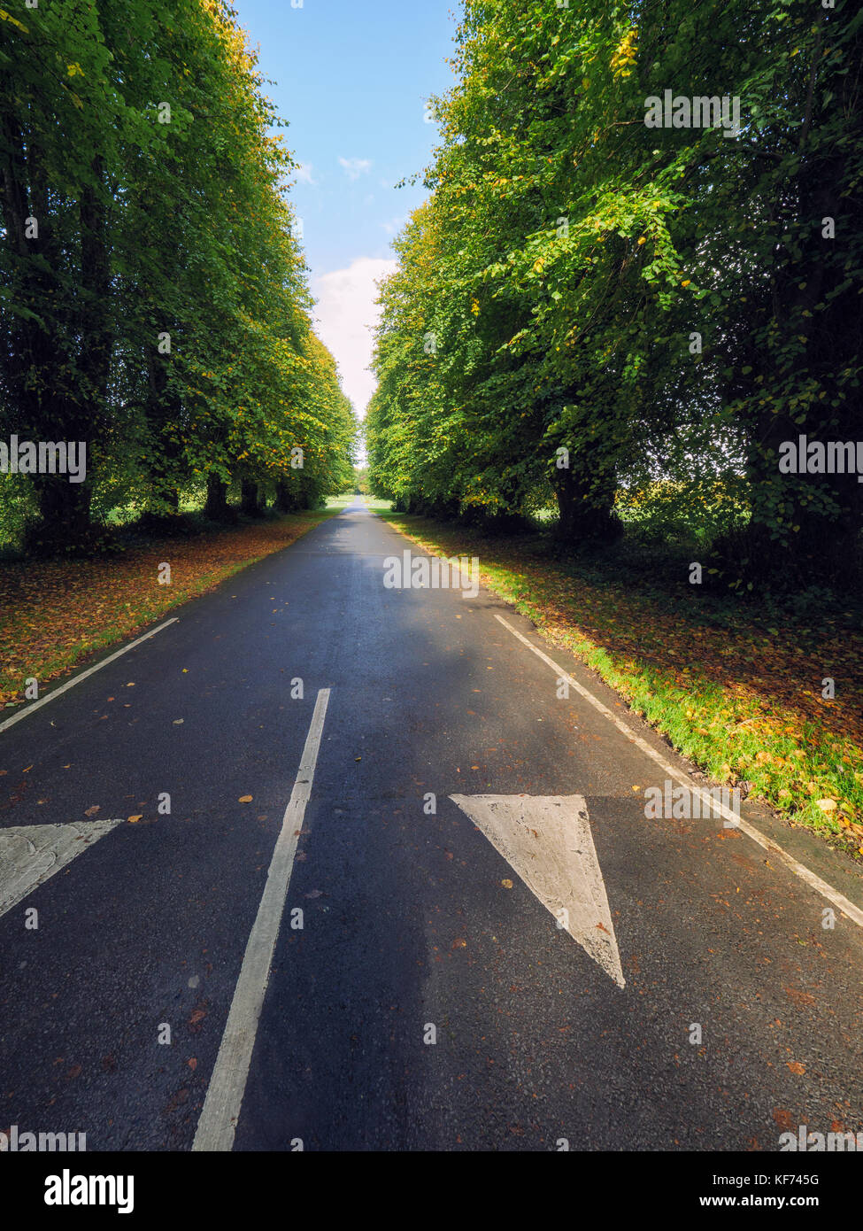 Early Autumn countryside morning,Northern Ireland Stock Photo - Alamy