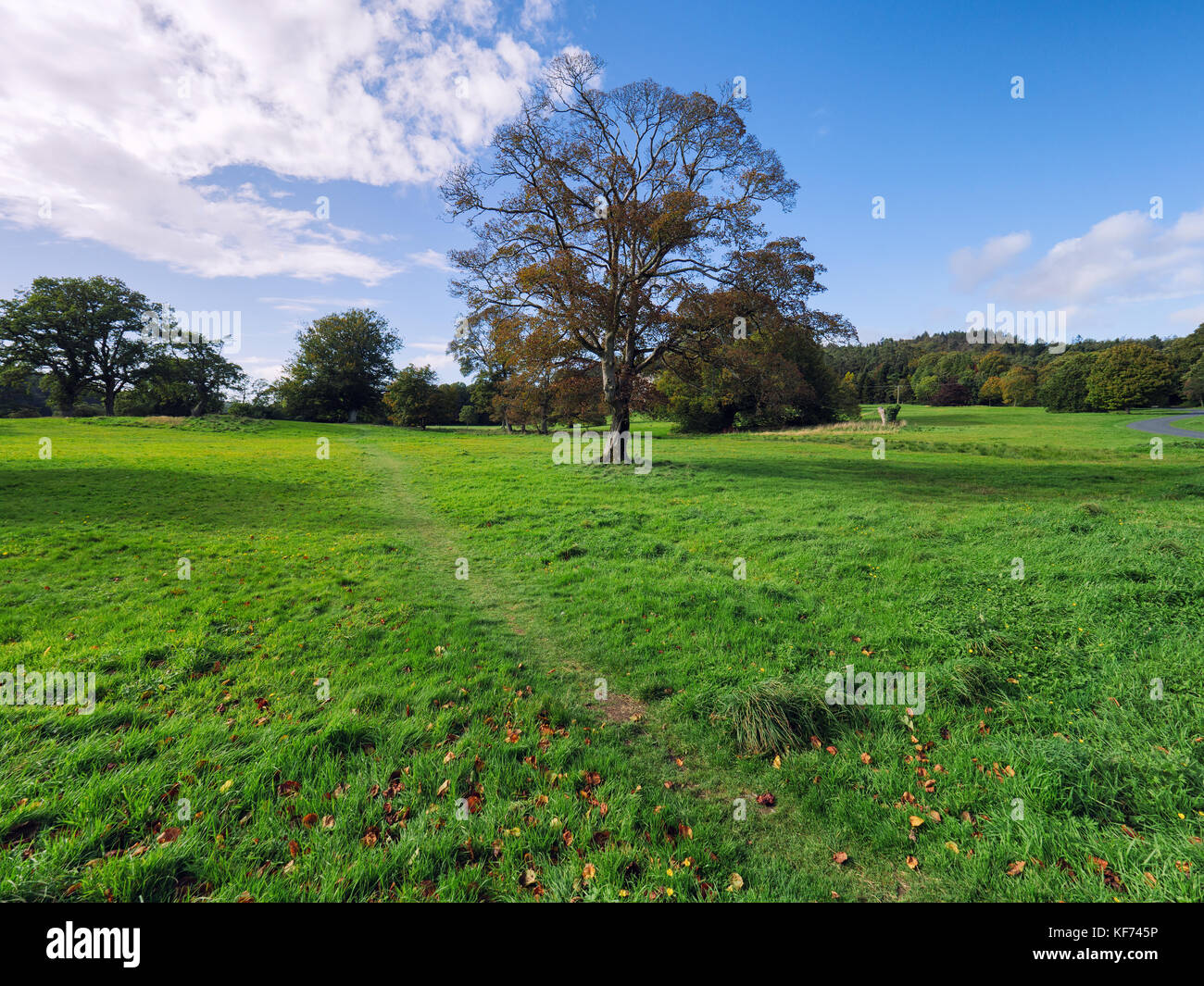 Early Autumn countryside morning,Northern Ireland Stock Photo - Alamy