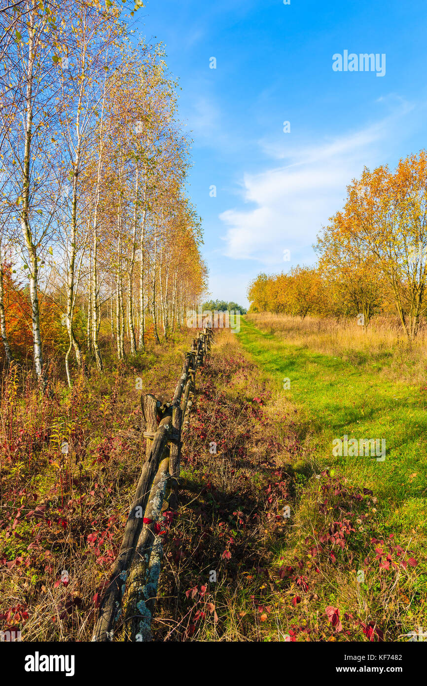 Old road fence tree hi-res stock photography and images - Alamy