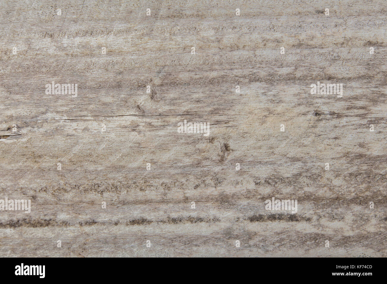 Natural wood texture.gray color Stock Photo - Alamy