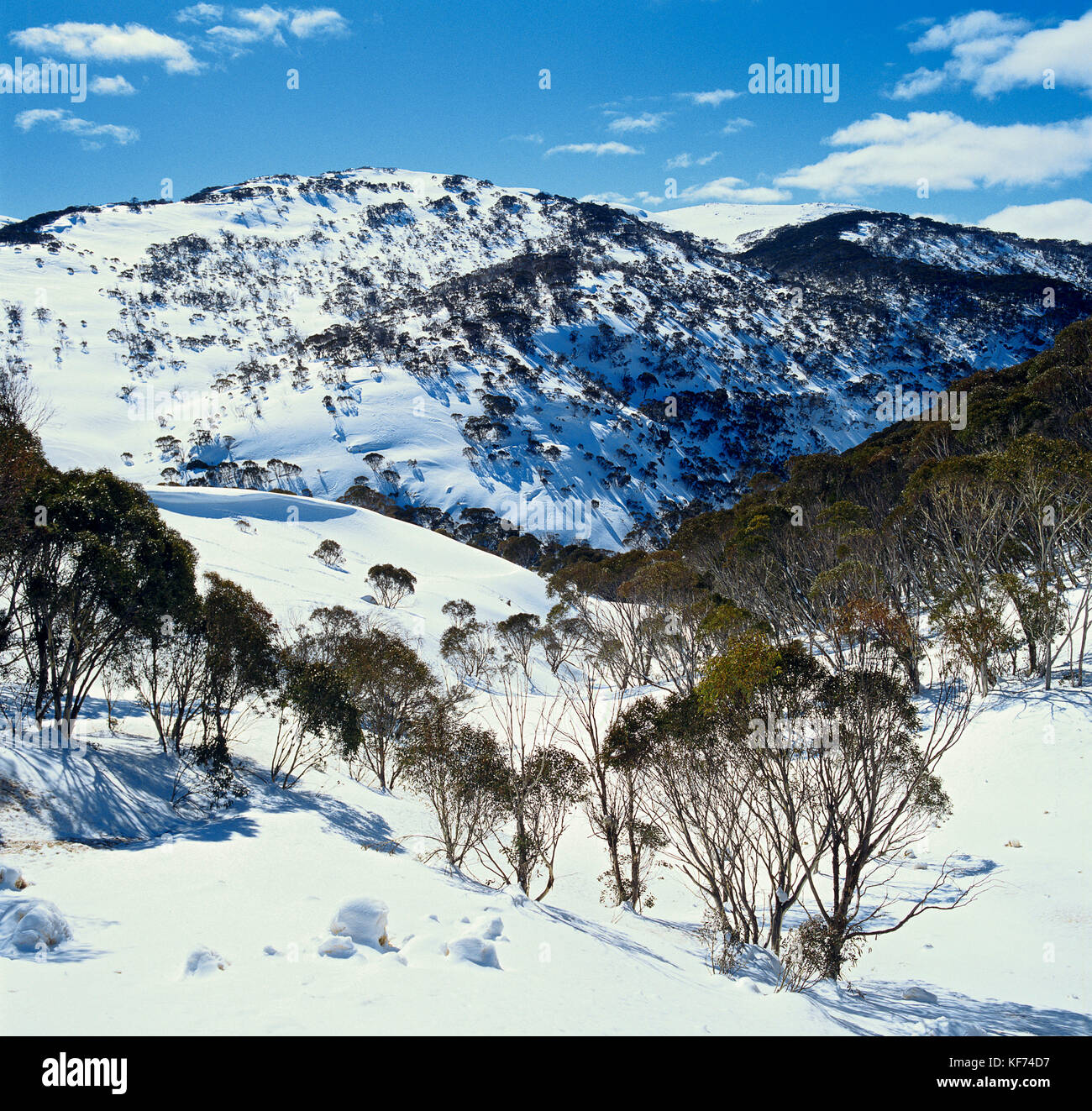 Australian snowfields hi-res stock photography and images - Alamy