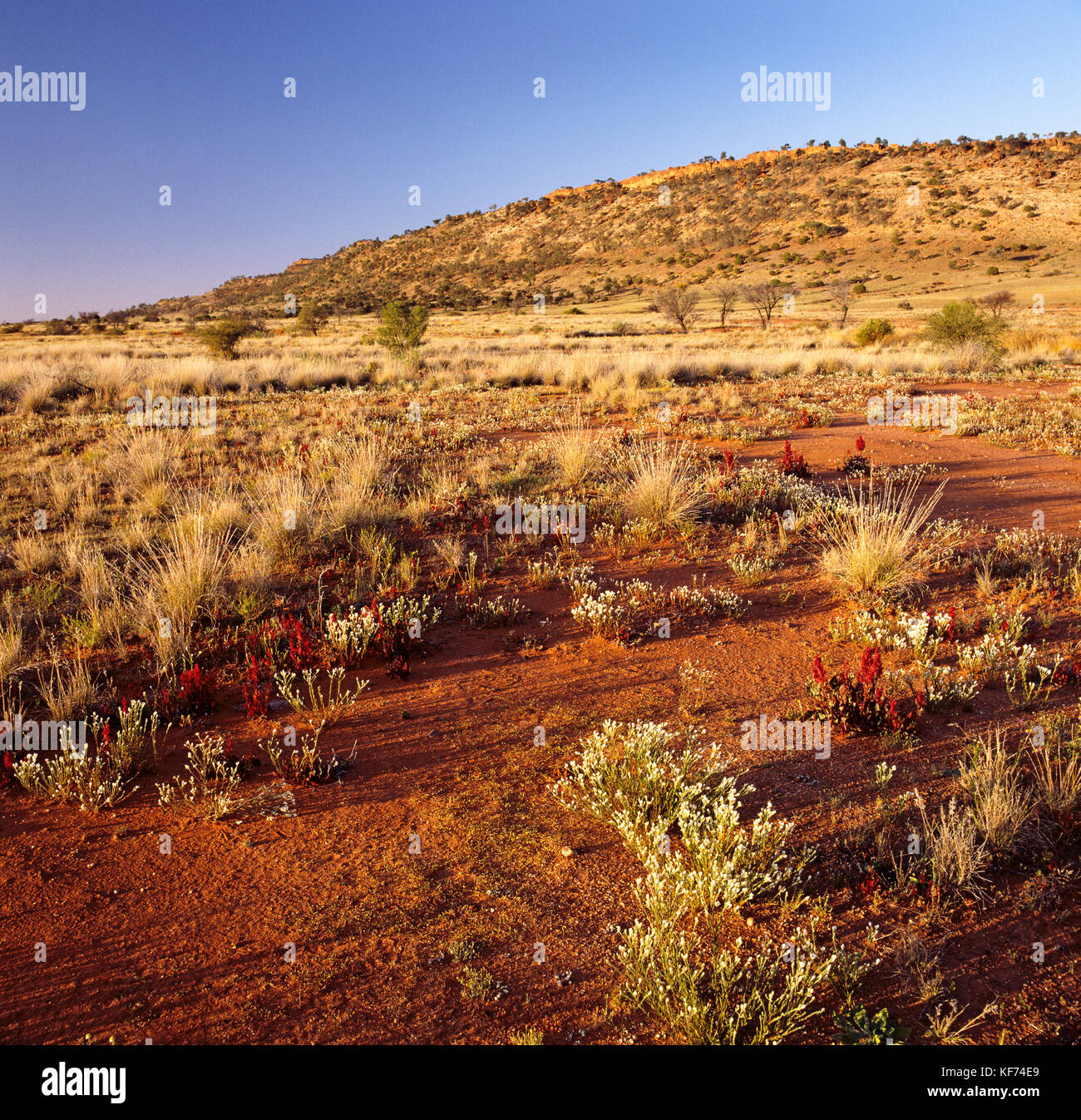 Mutawintji National Park High Resolution Stock Photography and Images ...