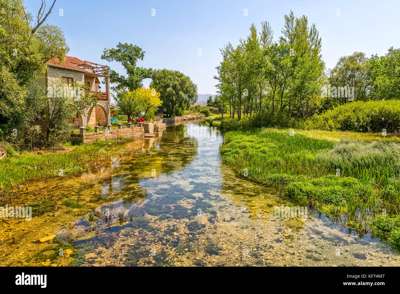 Rumin hi-res stock photography and images - Alamy