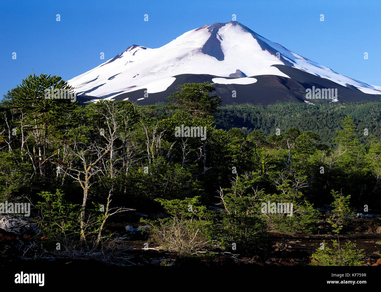 Volcan Llaima, with colonising flora after volcanic reuption ...