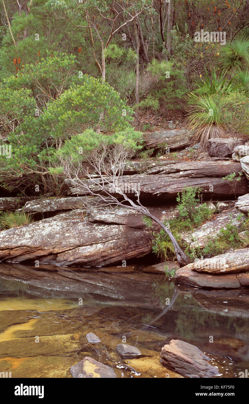 Sydney basin sandstone hi-res stock photography and images - Alamy