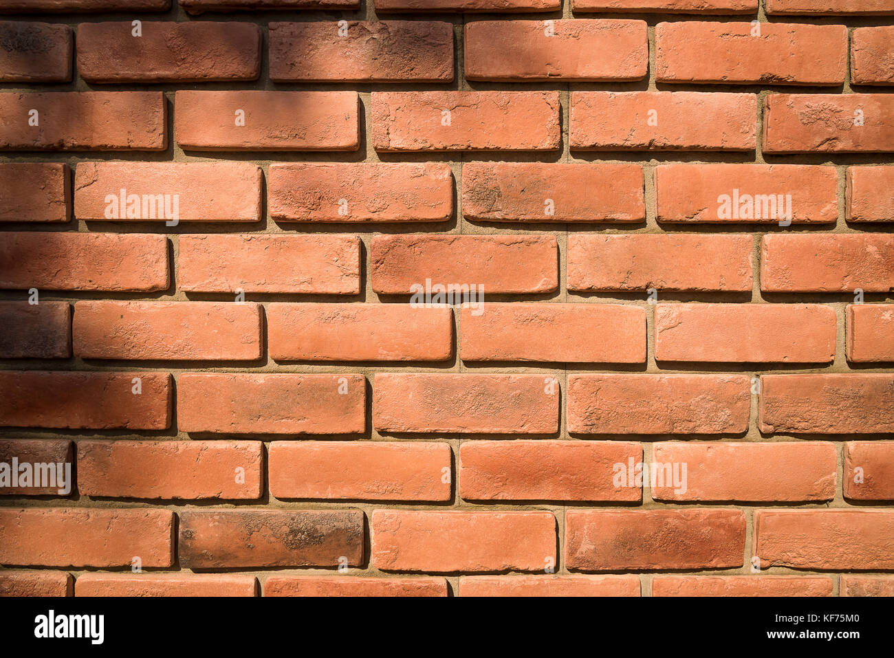 Red brick wall texture background with the shadow of the tree shining ...