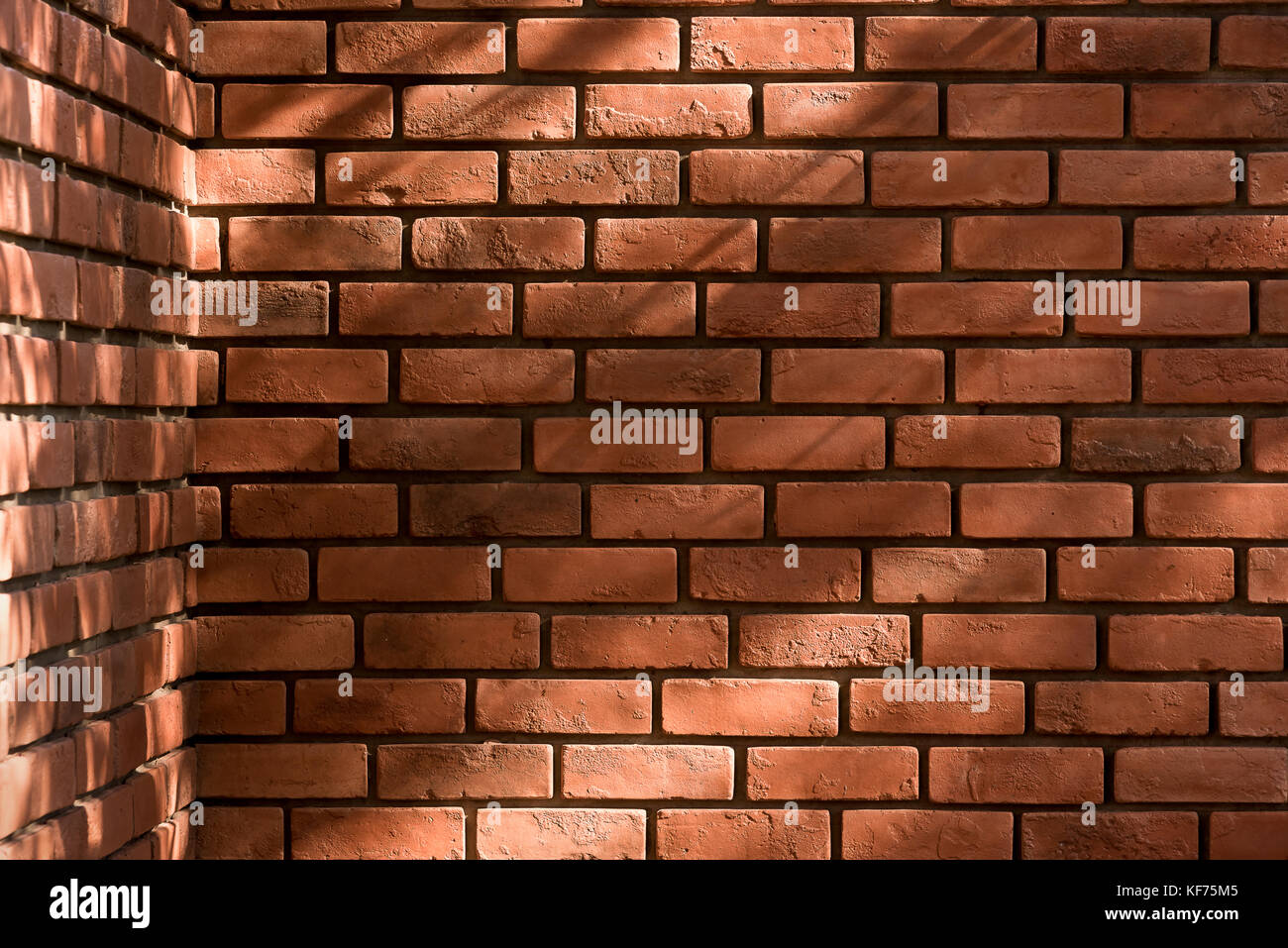 Red brick wall texture background with the shadow of the tree shining ...