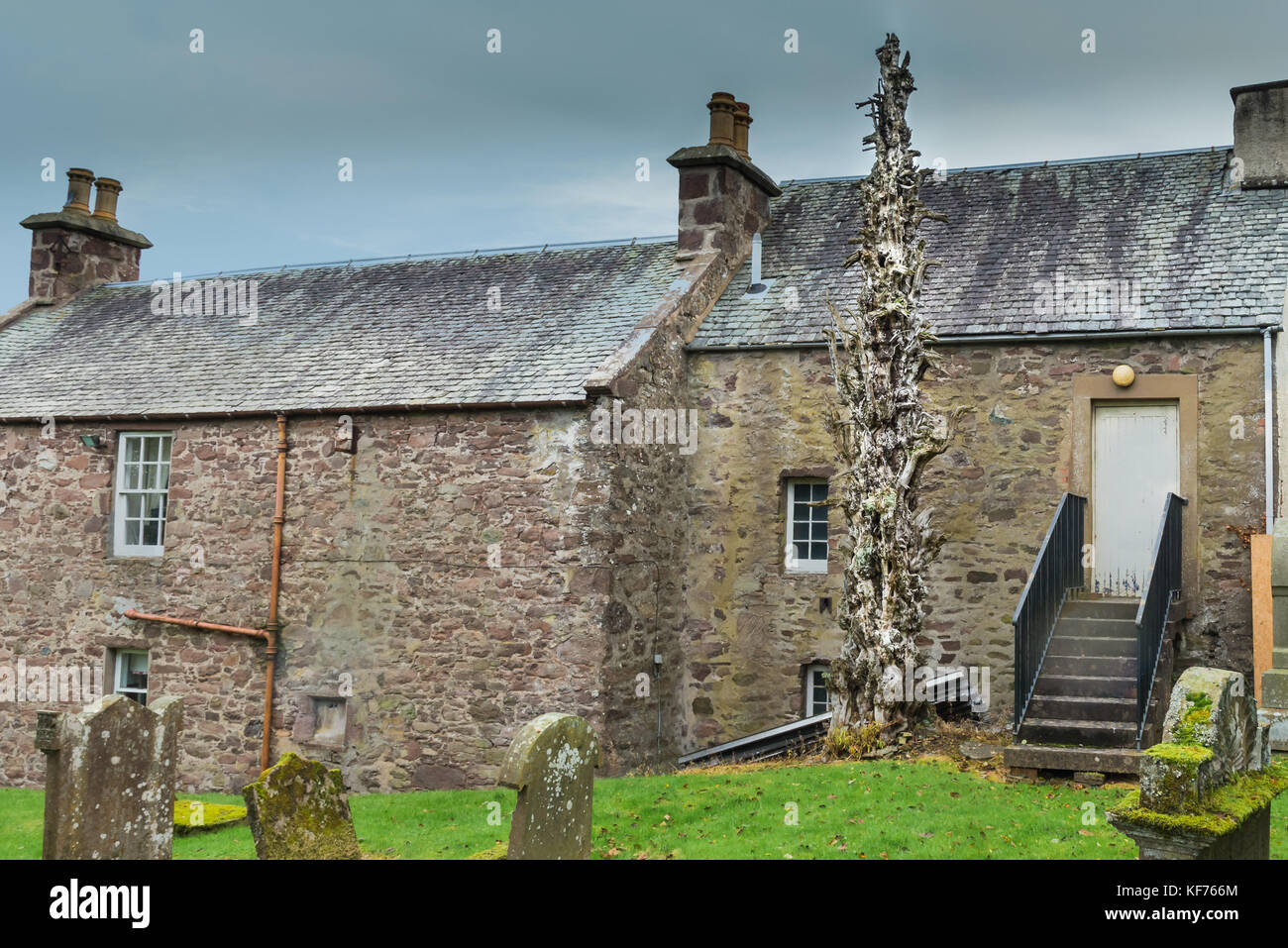 Tree grow from grave hi-res stock photography and images - Alamy