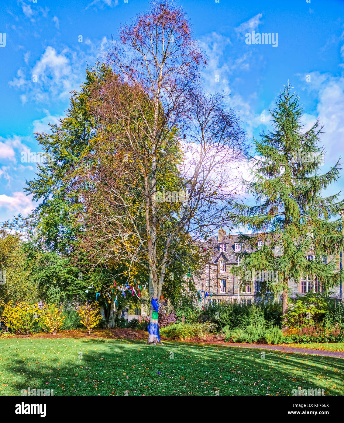 Dunkeld and birnam trees hi-res stock photography and images - Alamy