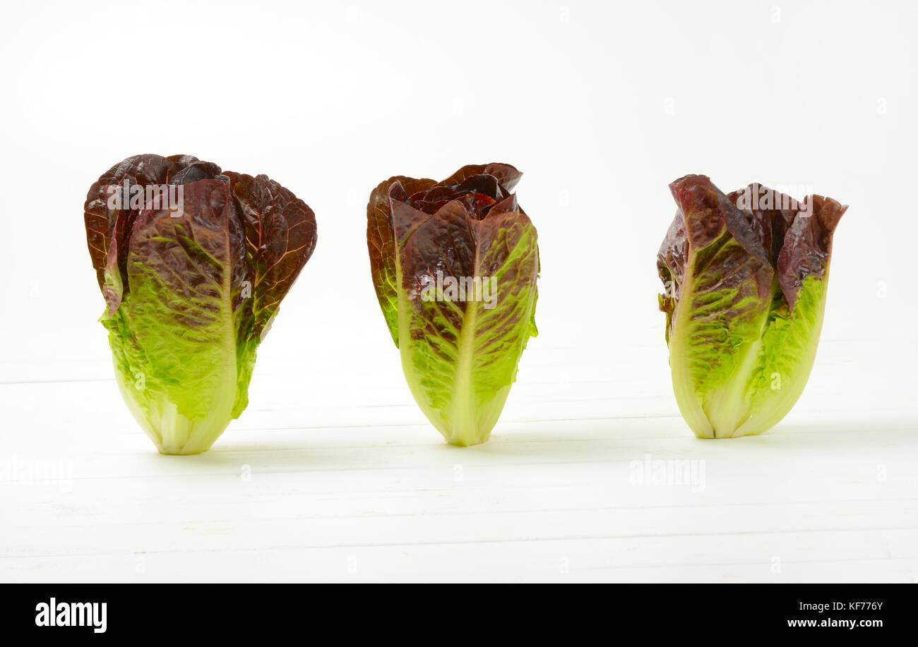 three heads of fresh lettuce standing on white wooden background Stock ...