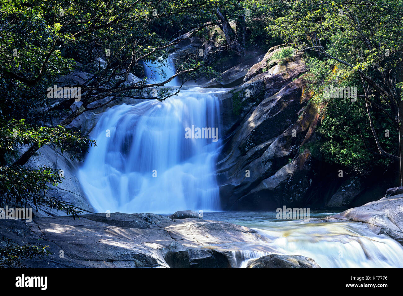 Josephine Falls, surrounded by complex mesophyll vine forest ...