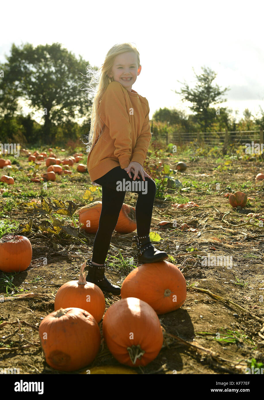 Mia West picking her pumpkin for Halloween, at the Pumpkin Patch in ...