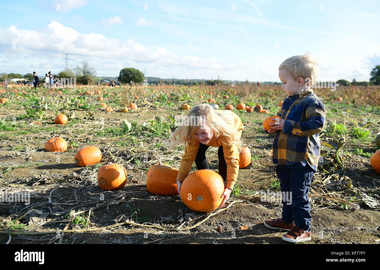Mia and Jack West picking their pumpkin for Halloween, at the Pumpkin ...