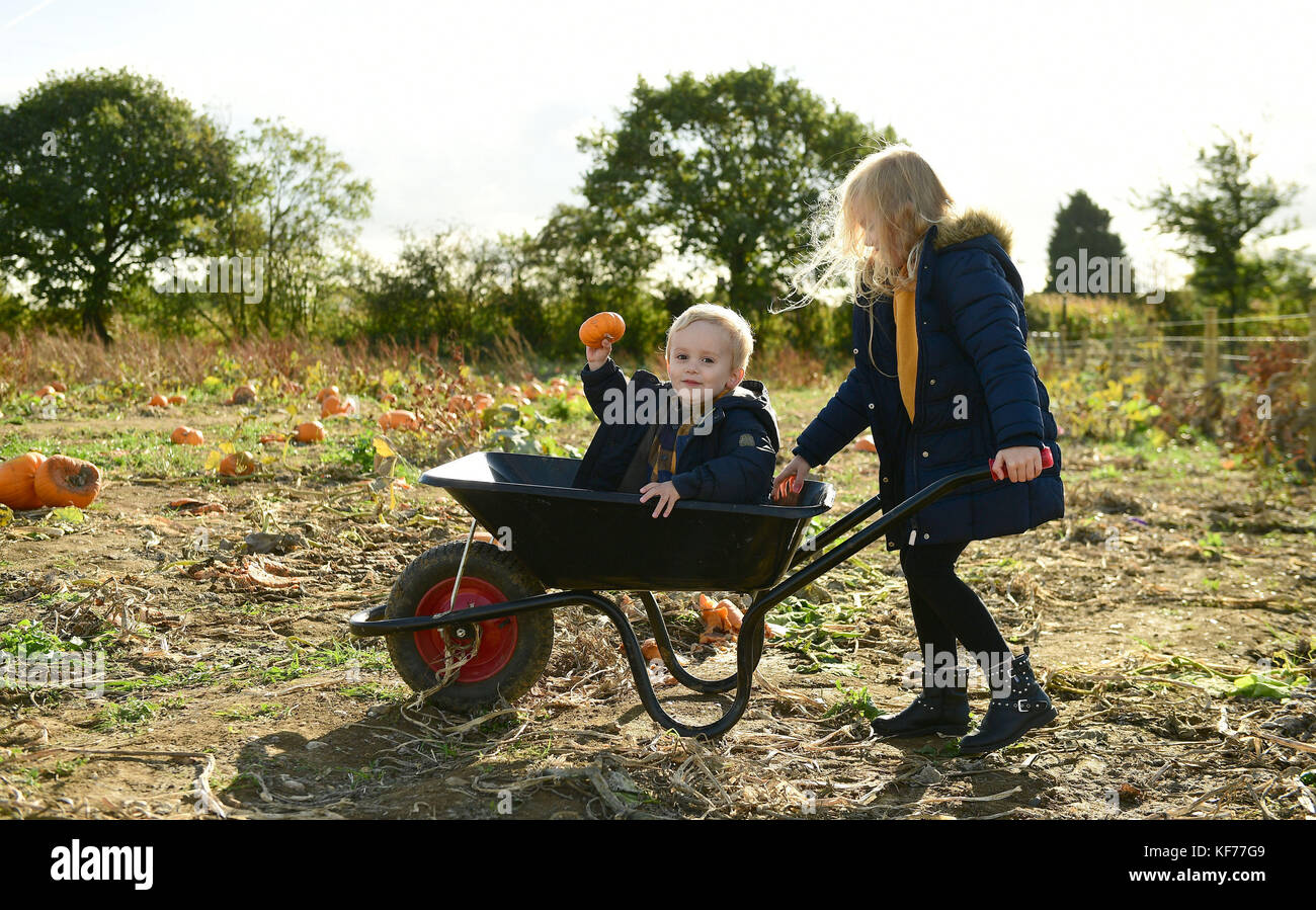 Mia and Jack West picking their pumpkin for Halloween, at the Pumpkin ...