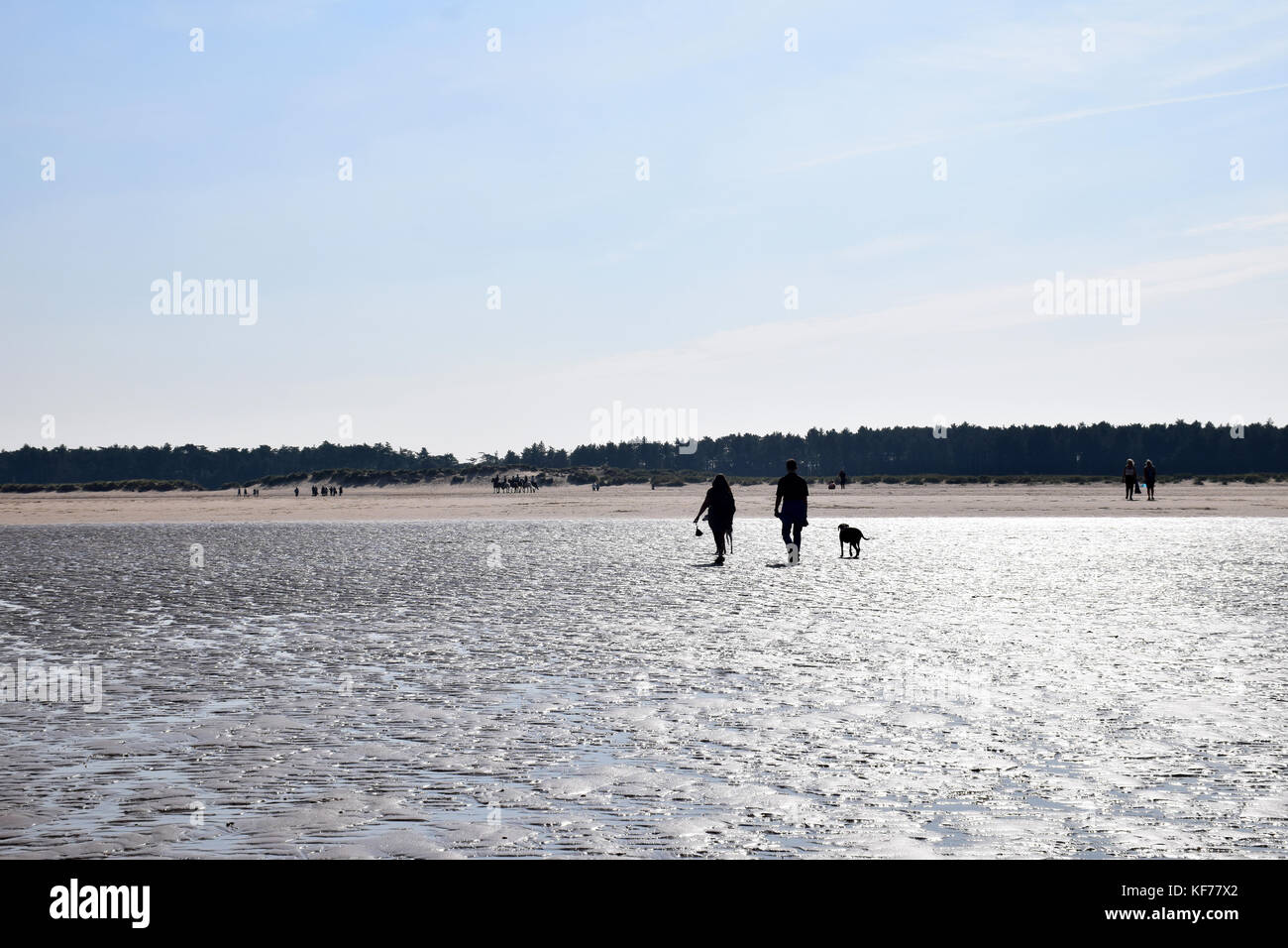 Holkham beach on a sunny September day, Norfolk UK Stock Photo - Alamy