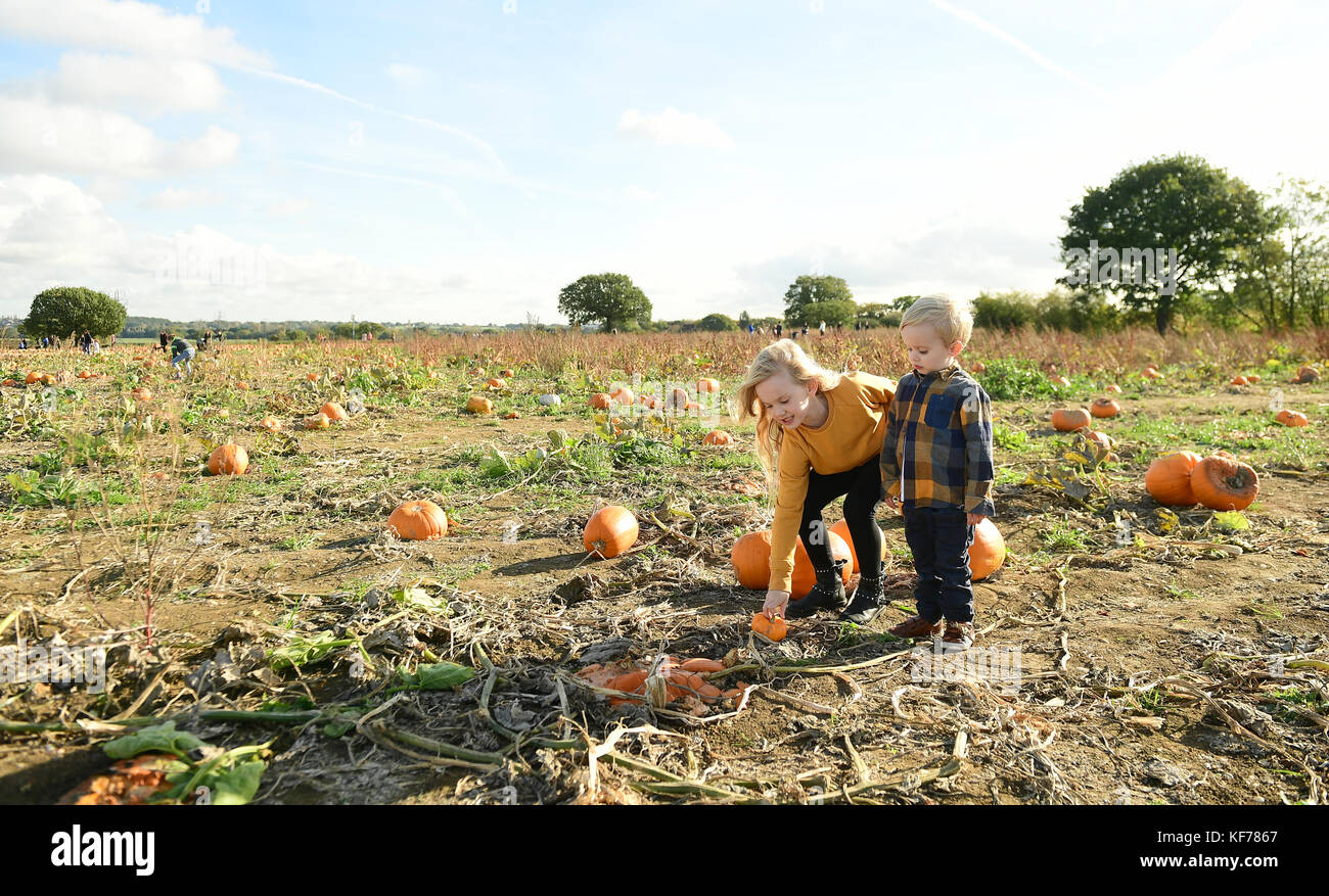 Jack west picking hi-res stock photography and images - Alamy