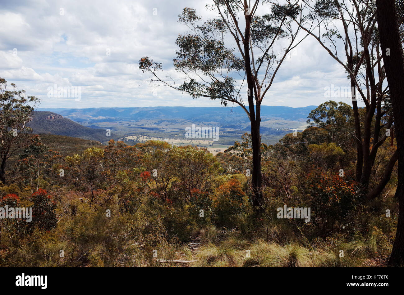 Australian mountain landscape. Large forested valley in the Blue ...