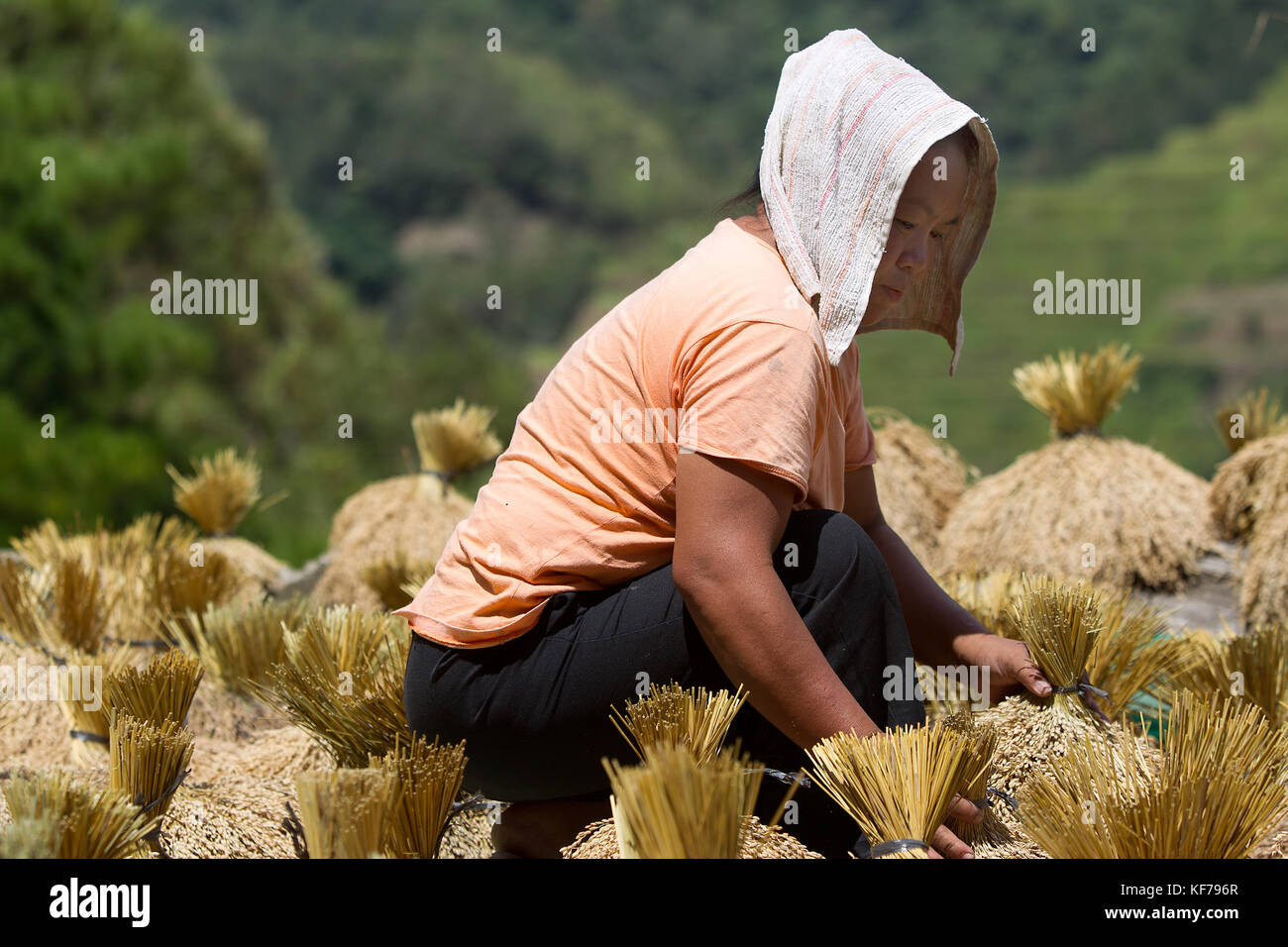 Ifugao culture hi-res stock photography and images - Alamy