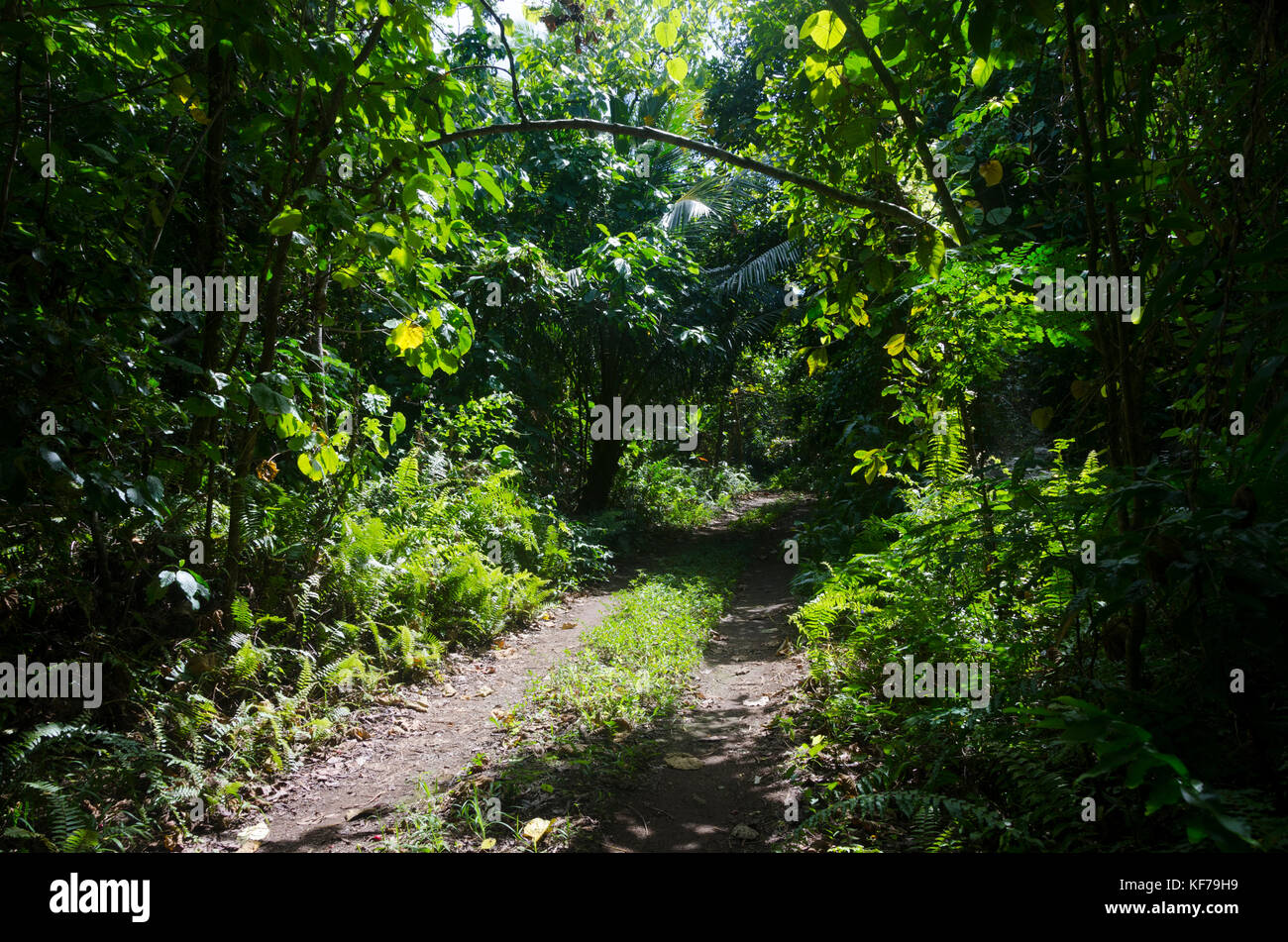 4 wheel trail hi-res stock photography and images - Alamy