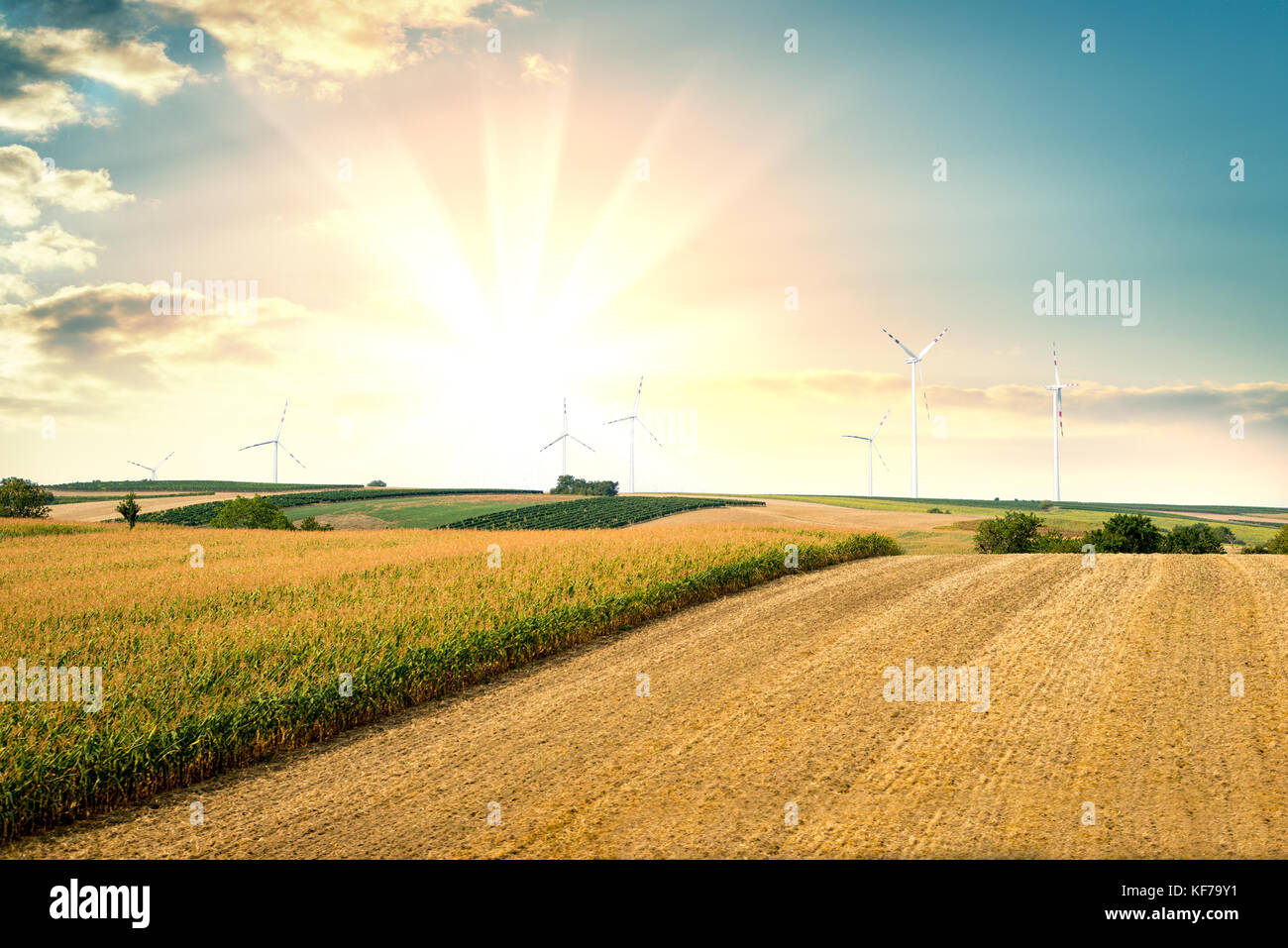Sunset summer landscape Stock Photo - Alamy