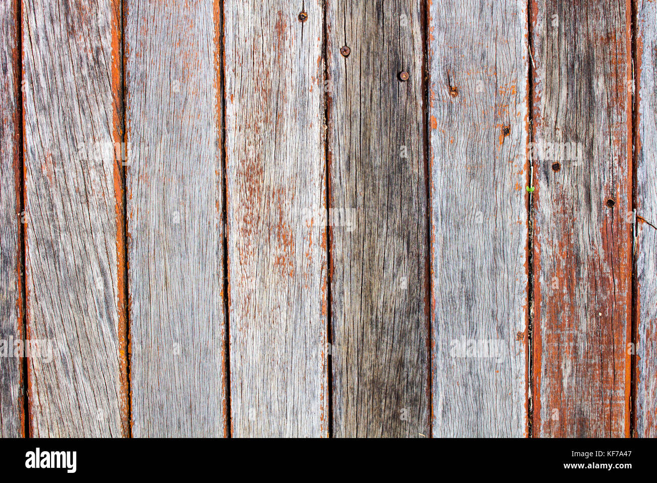 The wood surface, wood texture, for background Stock Photo - Alamy