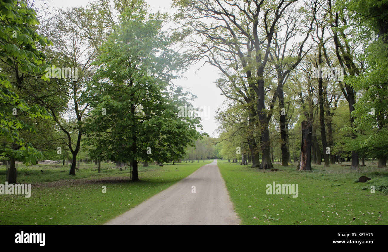 Park in Hanover Stock Photo - Alamy