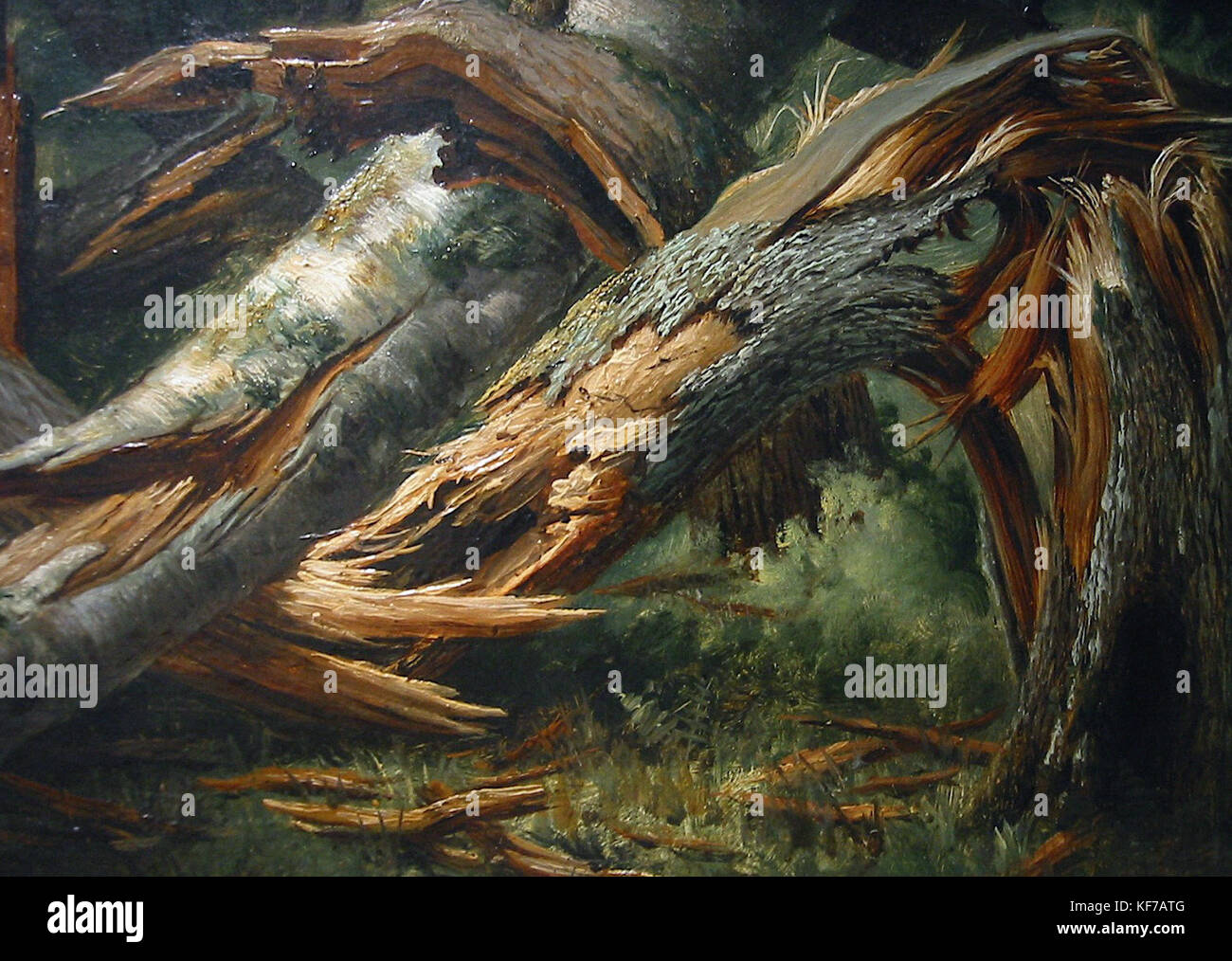 Alexandre Calame Fallen Tree Stock Photo - Alamy
