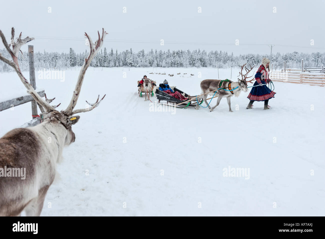 Sleigh rides hi-res stock photography and images - Alamy