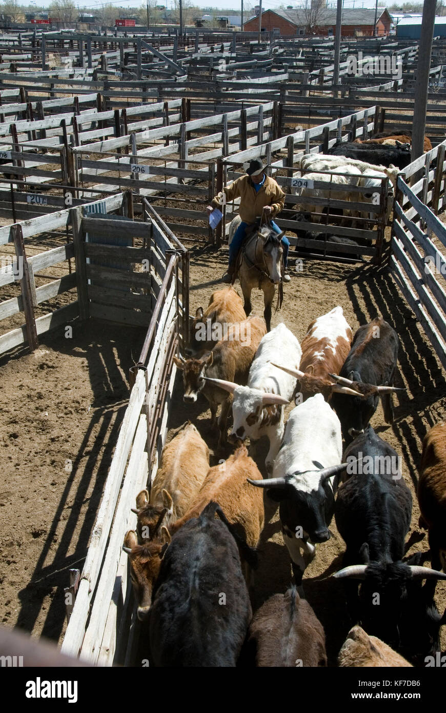 Old Holding Pens For Cattle