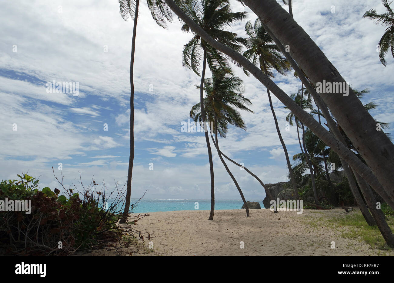 Bottom Bay, best beach in Barbados Stock Photo - Alamy