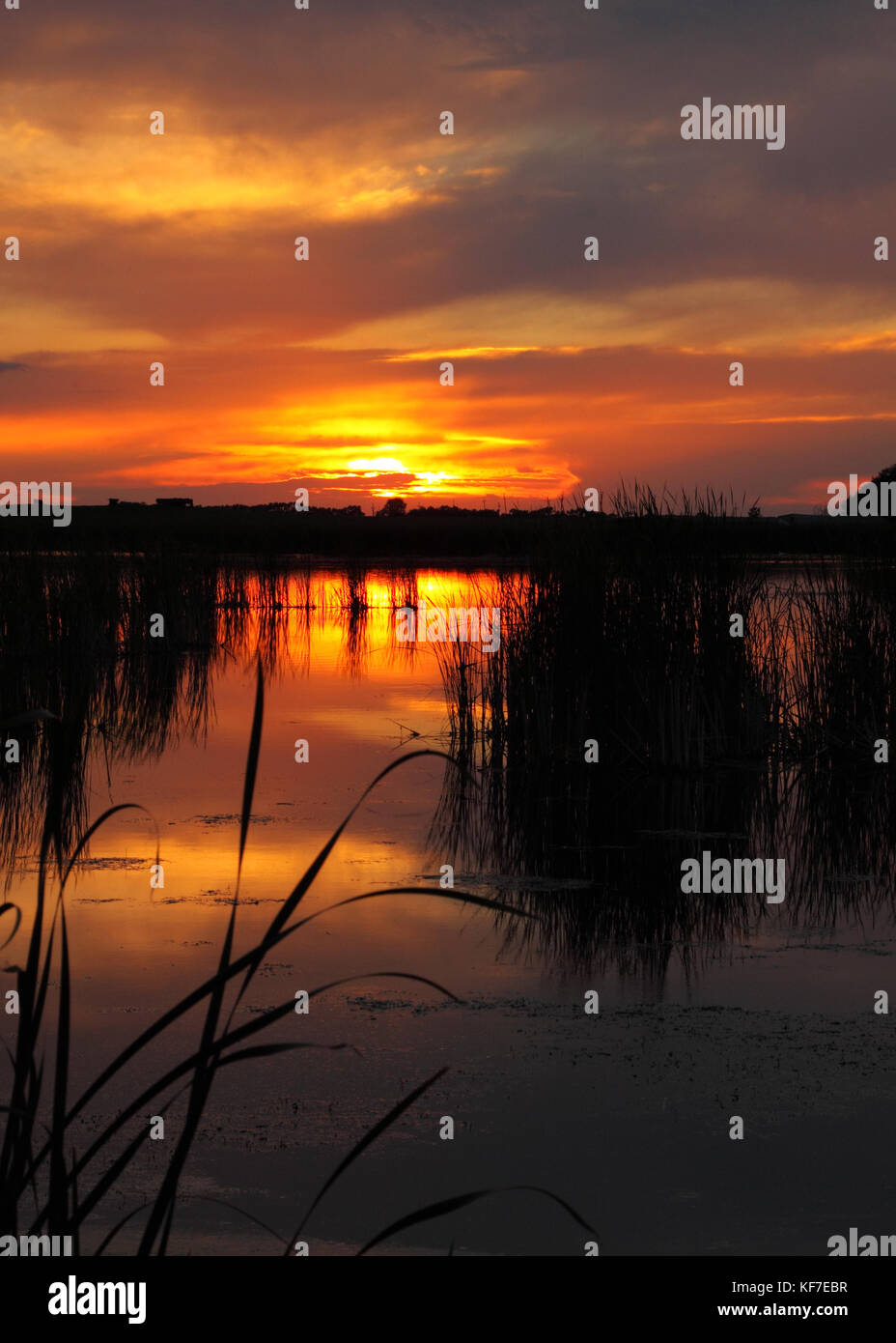 The sun setting behind a North Dakota marsh Stock Photo - Alamy