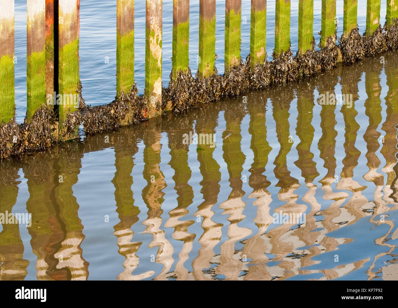 Submerged fence hi-res stock photography and images - Alamy
