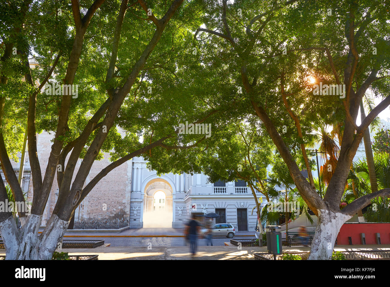 Merida city park of Yucatan in Mexico Stock Photo - Alamy