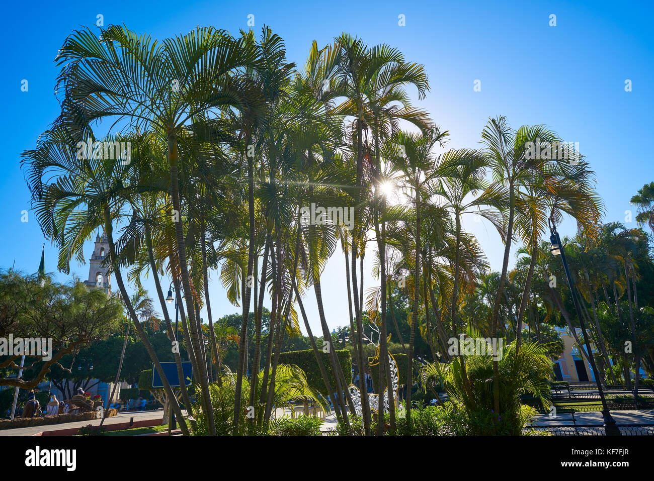 Merida city park of Yucatan in Mexico Stock Photo - Alamy