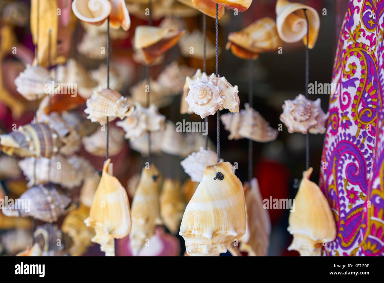 seashell mobile wind chime hanging handcraft souvenir from mexico Stock ...