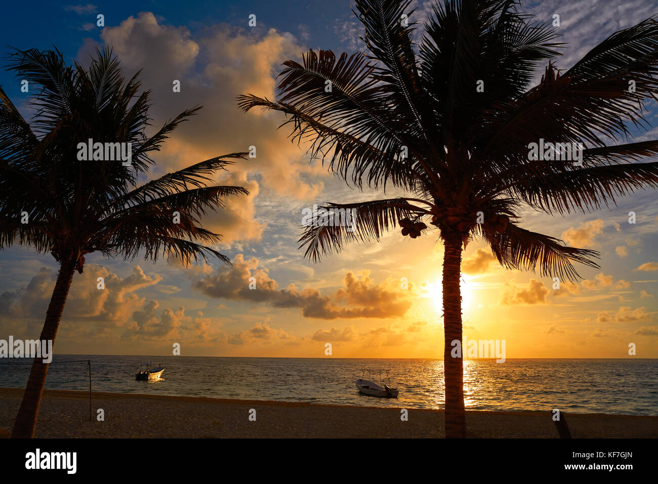 Caribbean sunrise palm trees in Riviera Maya Mayan Mexico Stock Photo ...