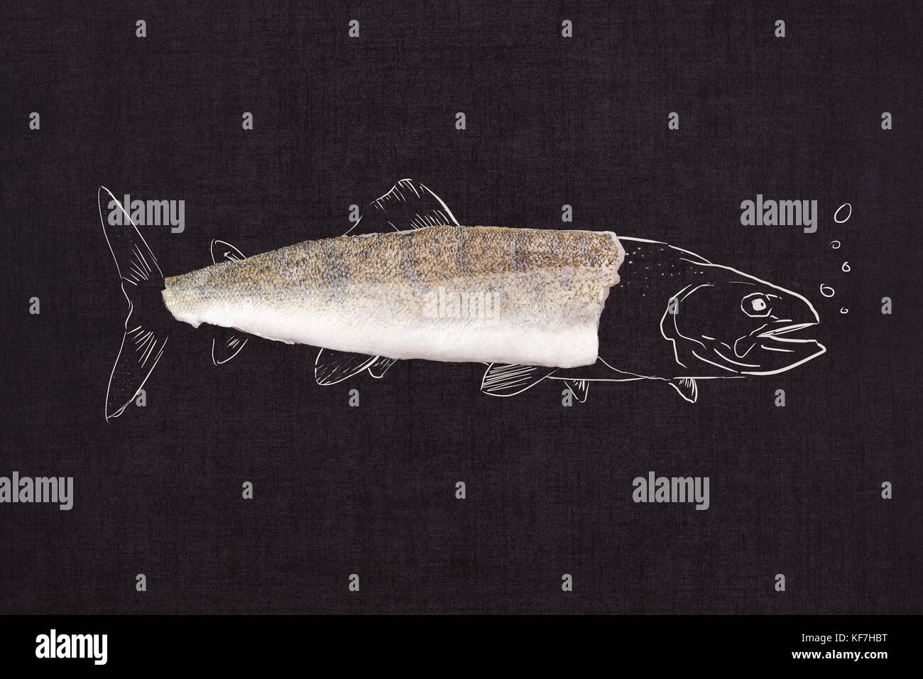 Drawing halibut hi-res stock photography and images - Alamy
