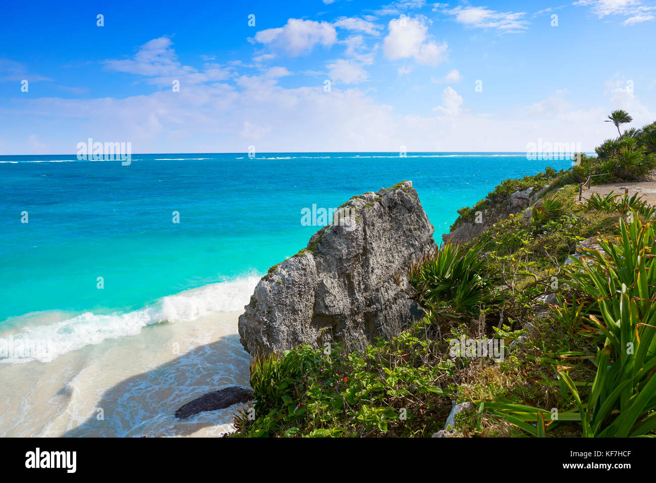 Tulum turquoise beach palm tree in Riviera Maya at Mayan Mexico Stock ...