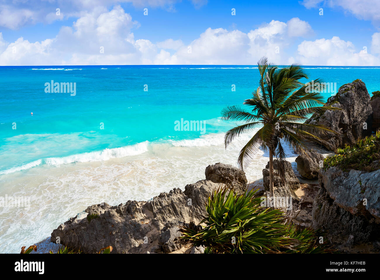 Tulum turquoise beach palm tree in Riviera Maya at Mayan Mexico Stock ...