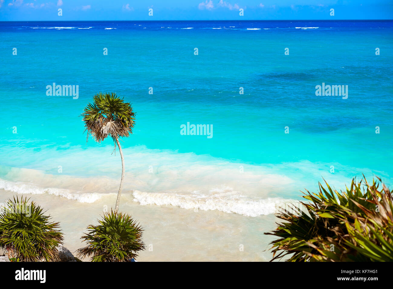 Tulum turquoise beach palm tree in Riviera Maya at Mayan Mexico Stock ...