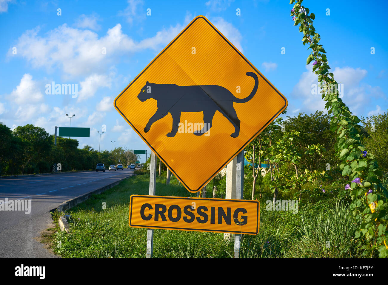 Mexican Warning Sign Stock Photos & Mexican Warning Sign Stock Images ...
